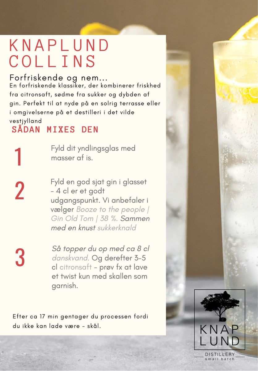 Booze To The People | Gin Old Tom 38% | 700 ml – Knaplund Bootleggers